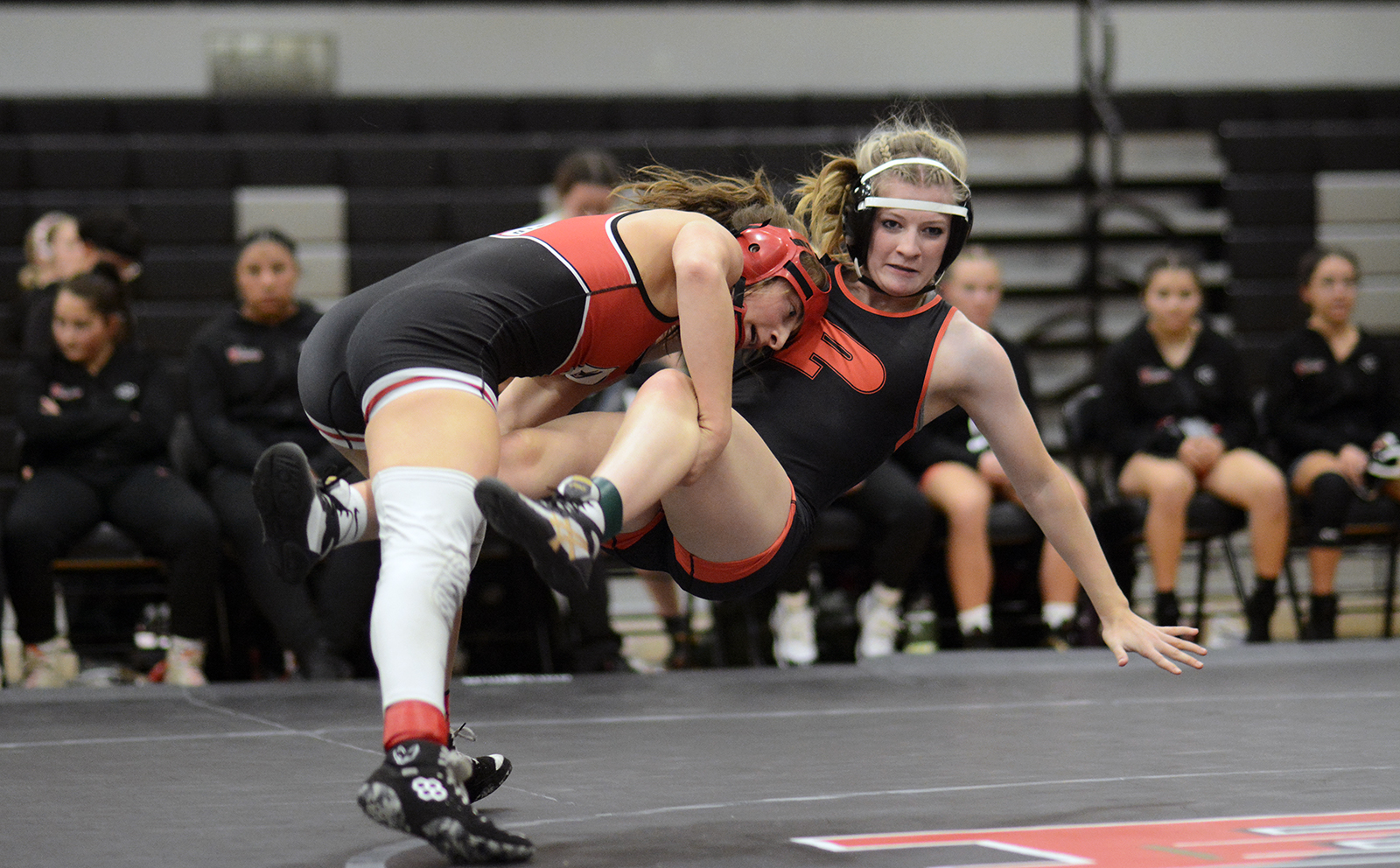Pomona girls wrestling triumphs over crowded field