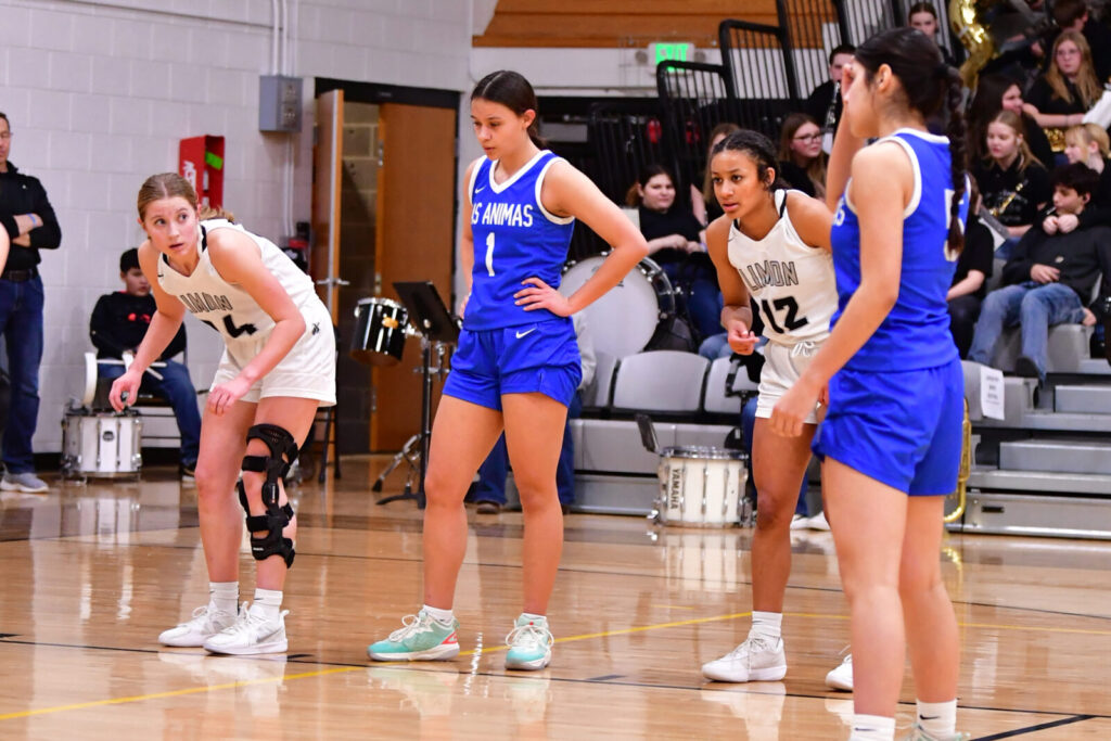 Girls basketball league title contenders eyeing postseason seeding