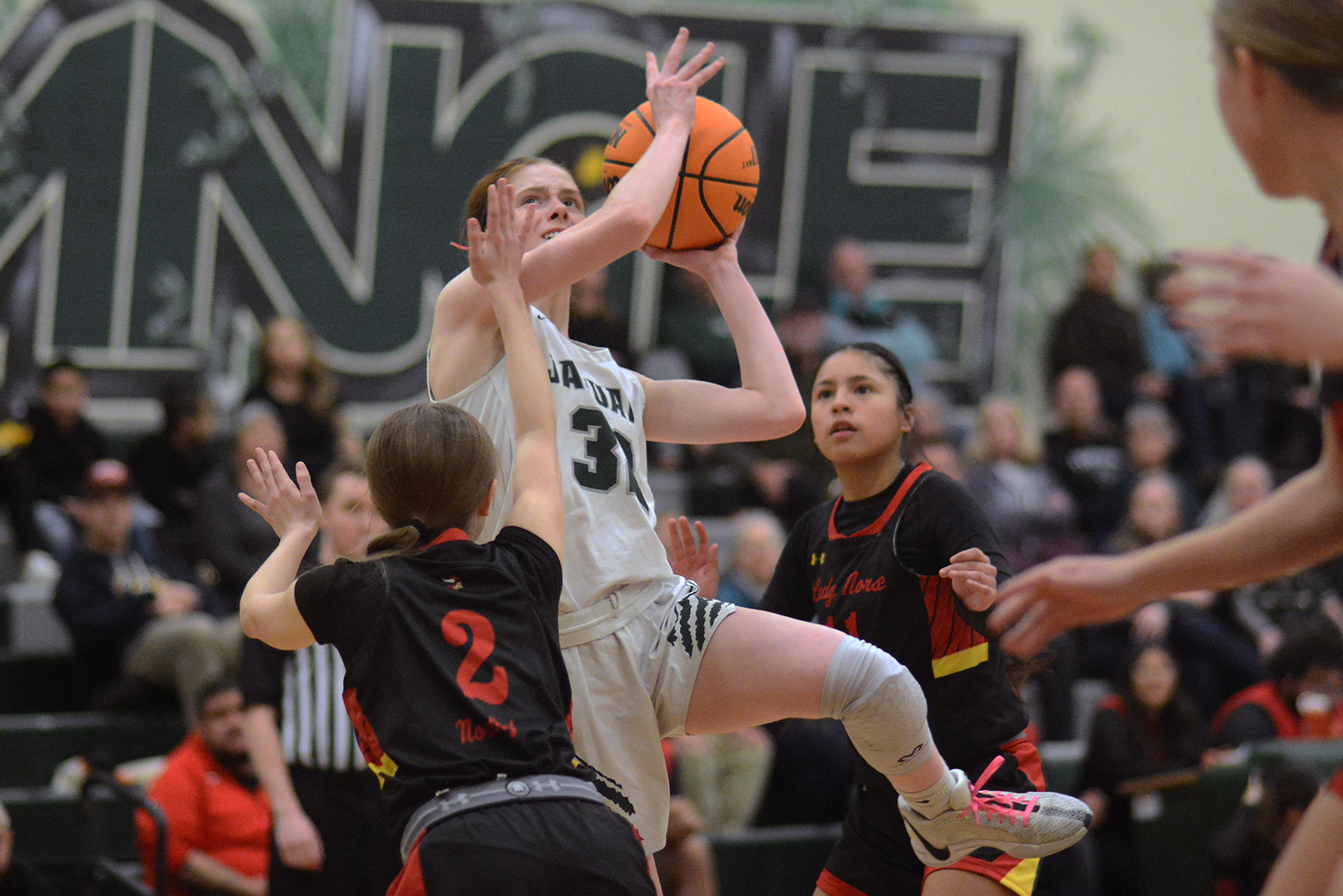 Girls basketball playoff brackets for 4A, 3A, 2A and 1A released