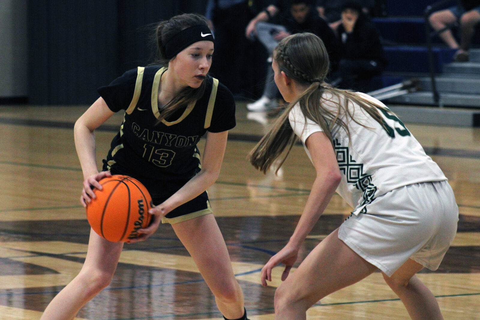 Rock Canyon beats Pine Creek, reaches 6A girls basketball Great 8
